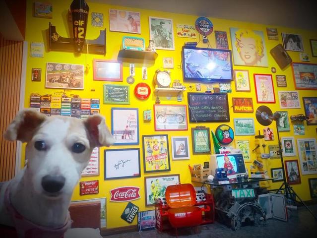 HONDA XR 200R 1998/1998 GASOLINA em curitiba - Morás Multimarcas